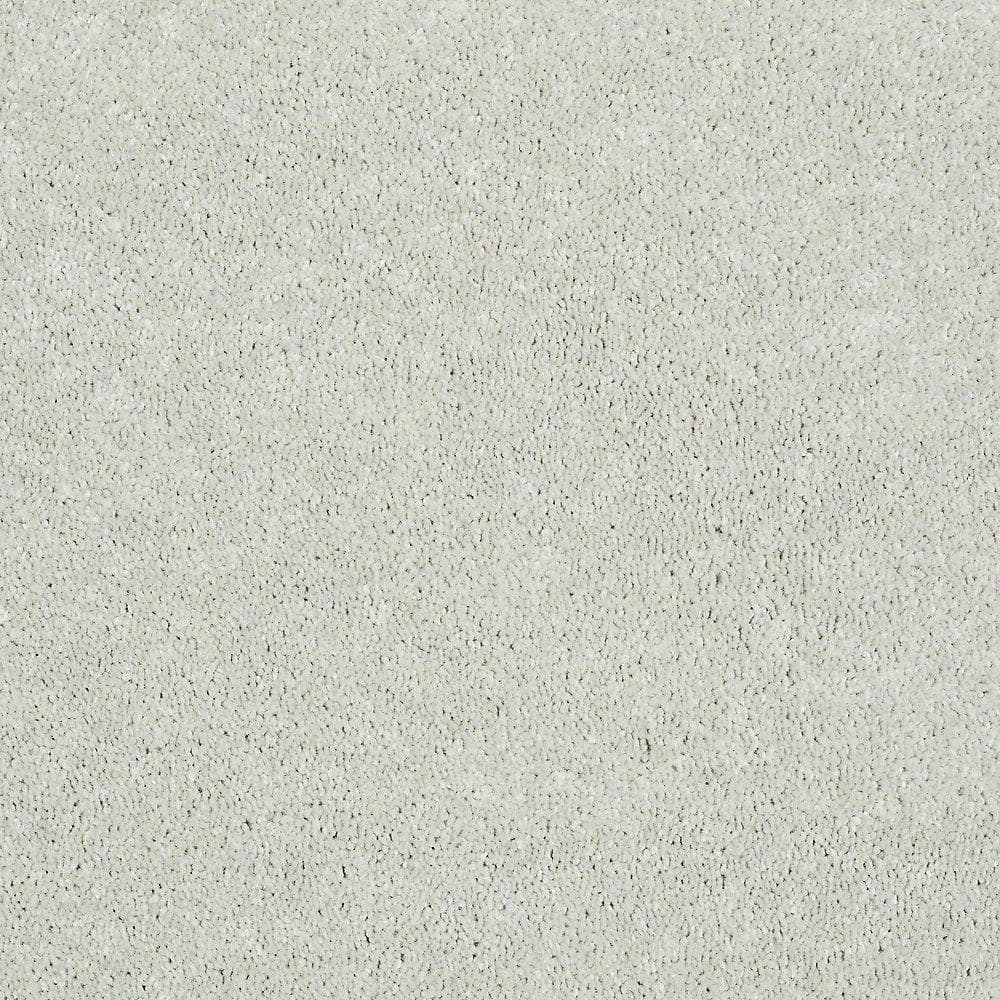 Home Decorators Collection 8 in. x 8 in. Texture Carpet Sample - Brave ...