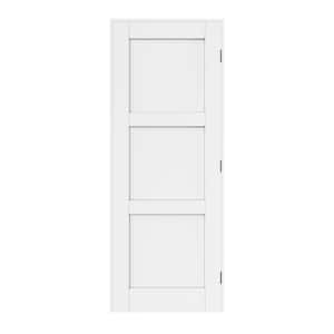 ARK DESIGN 32 in. x 80 in.Paneled Blank Right Handed 3-Lite White Solid ...