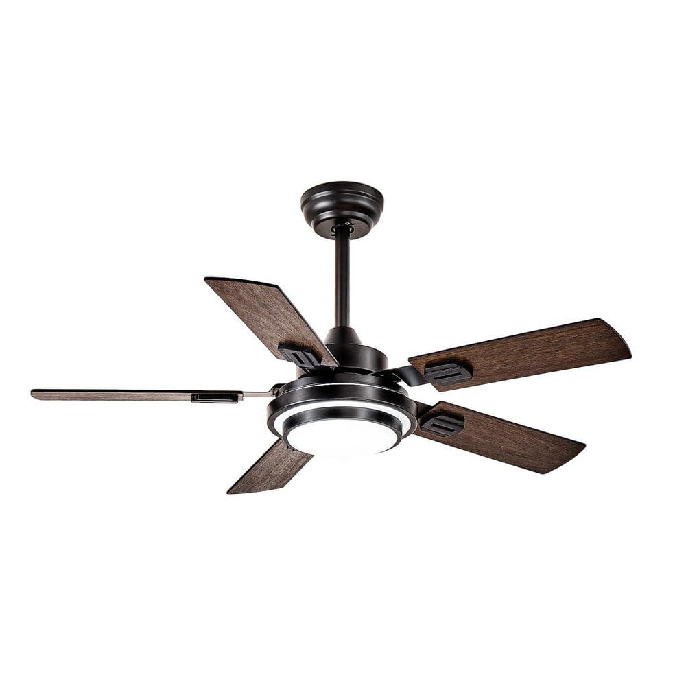 Dovanpaul 42 in. Black Brush Walnut Fan Light 5 Blade Dual Finish ...