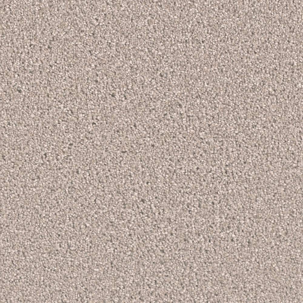 Home Decorators Collection 8 in. x 8 in. Texture Carpet Sample ...