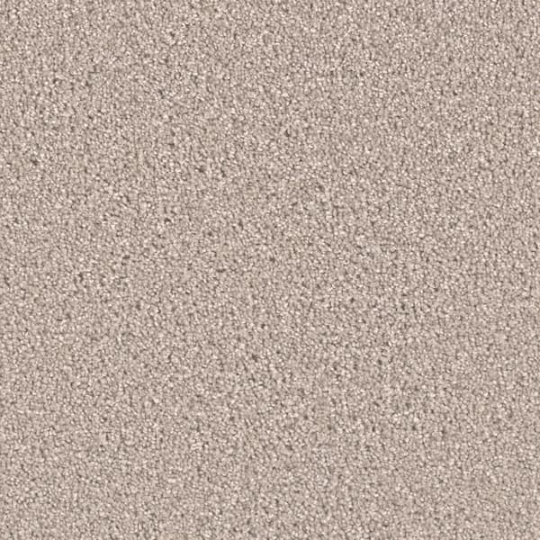 Home Decorators Collection 8 in. x 8 in. Texture Carpet Sample ...