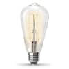 Feit Electric 40-Watt Equivalent ST19 Dimmable M-Shape Filament Clear Glass E26 Vintage Edison ...