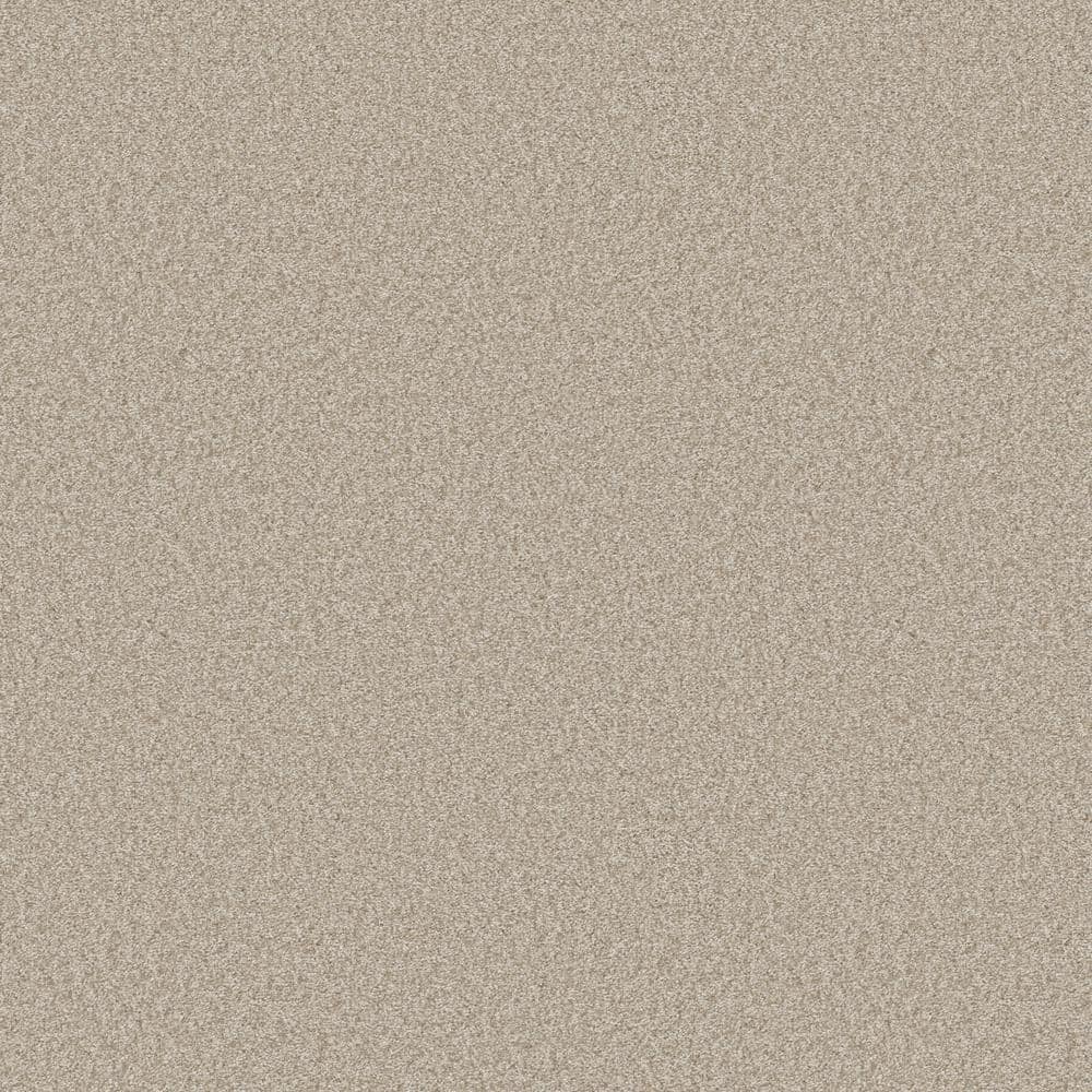 Lifeproof Rosemary II - Sandstone-Beige 12 ft. 56 oz. High Performance ...