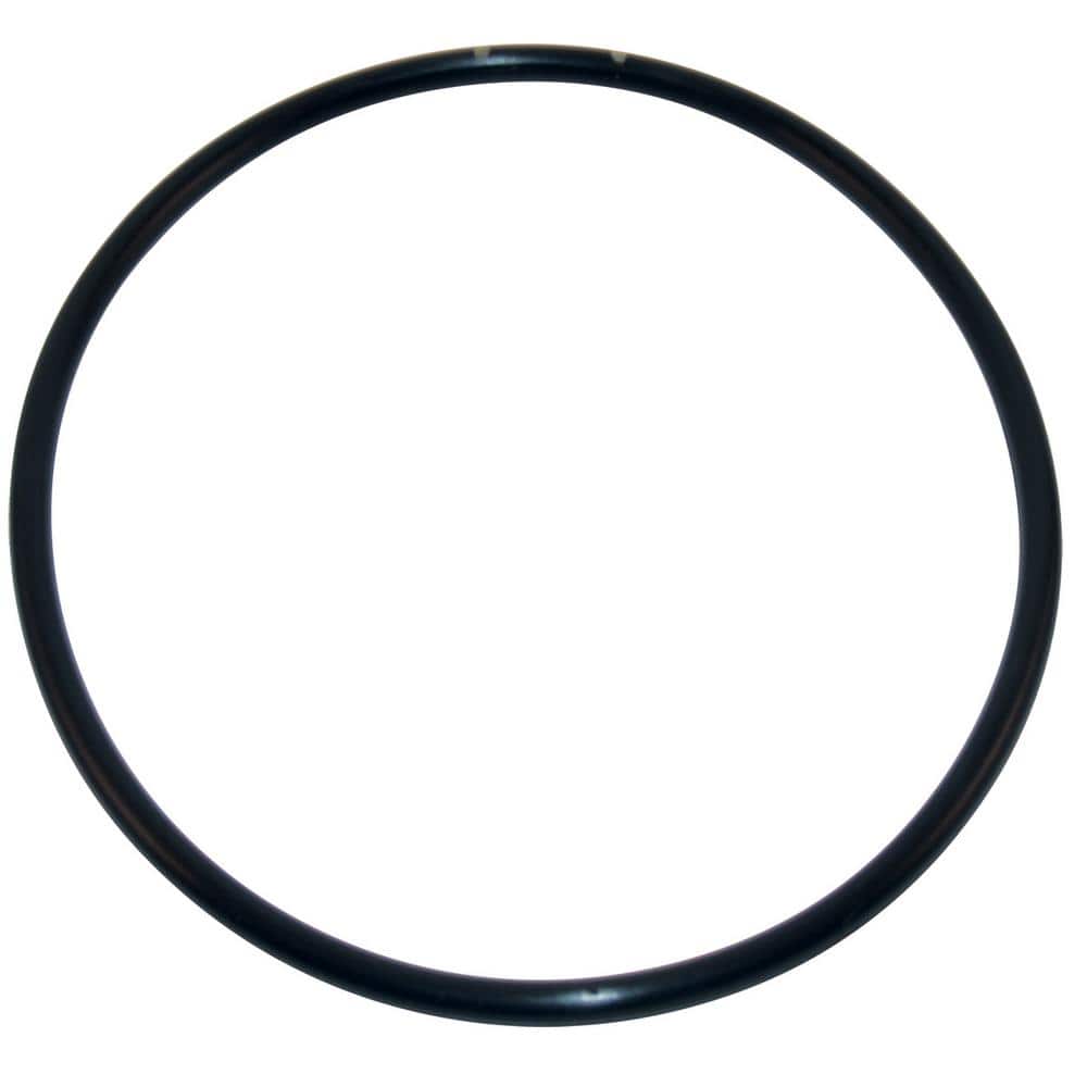 HAYWARD Lid O-Ring replacement part for Select Pool Chlorinators ...