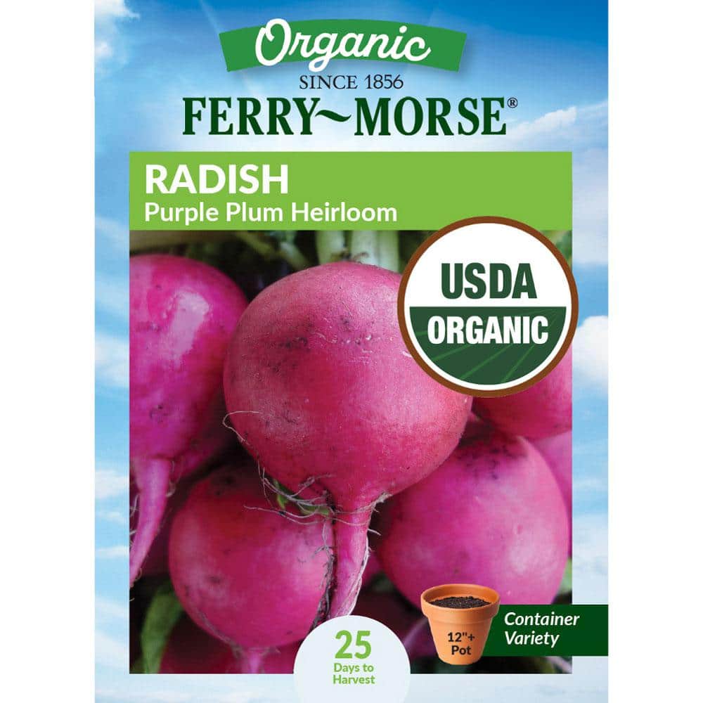 Ferry-Morse Organic Radish Purple Plum Heirloom Vegetable Seeds 0926 ...