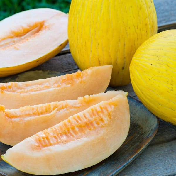 Gurney's Melon Honey Sak Hybrid Vegetable Seeds (20 Seed Packet)-67874 ...