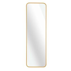 14 in. W x 47 in. H Full Length Rectangular Floor Mirror Suitable for ...