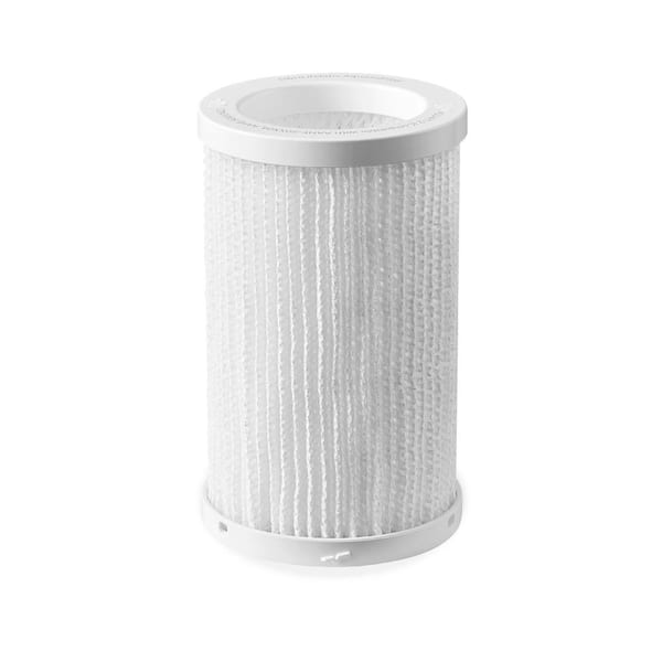 DH Lifelabs True HEPA Replacement Filter for Aaiara Plus HEPA 907000050 ...