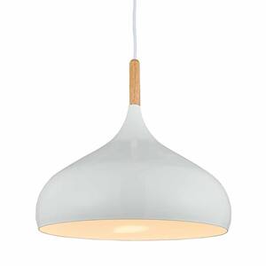 Daily Lighting 1-Light White Hanging Barn Light Pendant Light with ...