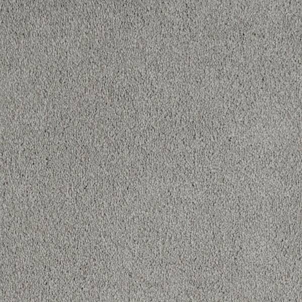 Lifeproof with Petproof Technology 8 in. x 8 in. Texture Carpet Sample ...