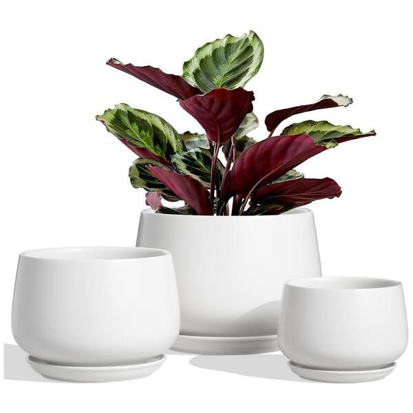 Beige Ceramic Indoor/Outdoor Footed Flower Plant Pot with Drainage (2 ...