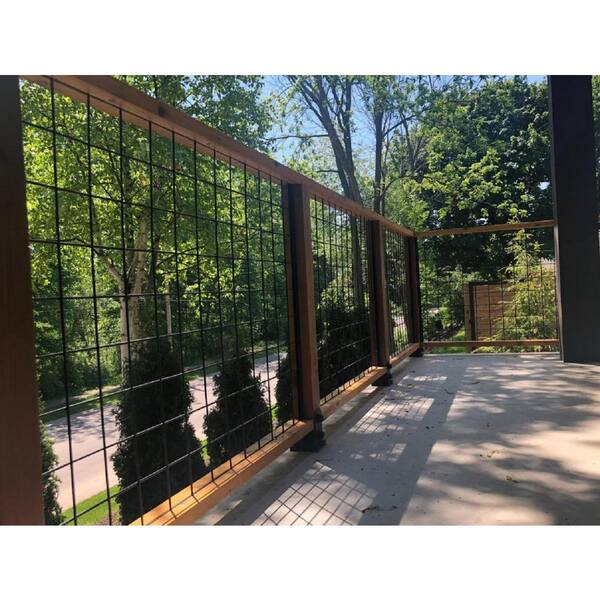 4x4 Hog Wire Panels Black Incredible Prices Cefocca unsj edu ar 4x4 Hog Wire Panels Black Incredible Prices Cefocca unsj edu ar