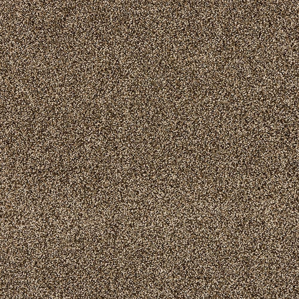 TrafficMaster Household Hues I Tree Bark Brown 31 oz. Polyester ...