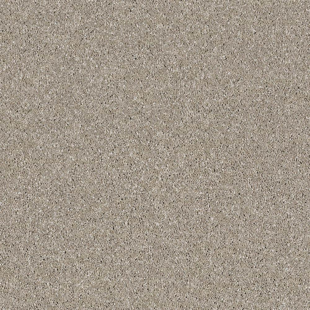 Home Decorators Collection 8 in. x 8 in. Texture Carpet Sample ...