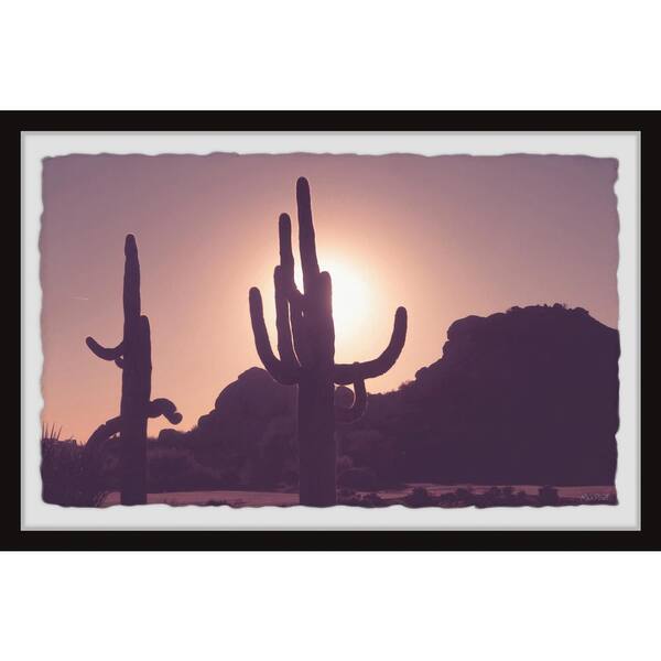 Desert Cactus Sunset