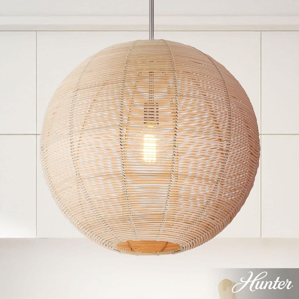 Hunter Hunter Berkeley 1 Light Brushed Nickel Sphere Pendant Lighting ...
