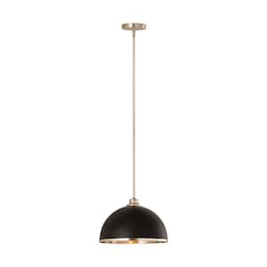Reviews for Landry 1-Light Matte Black + Brushed Nickel Pendant with ...