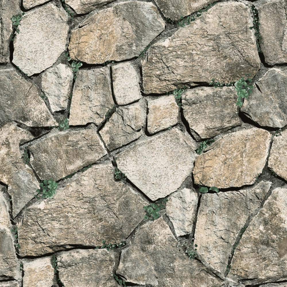 Dundee Deco Falkirk Ophia Stone Distressed Off-White Vinyl Peelable ...