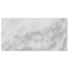 Daltile Patara Stone Carrara White Polished 12 in. x 24 in. Marble ...