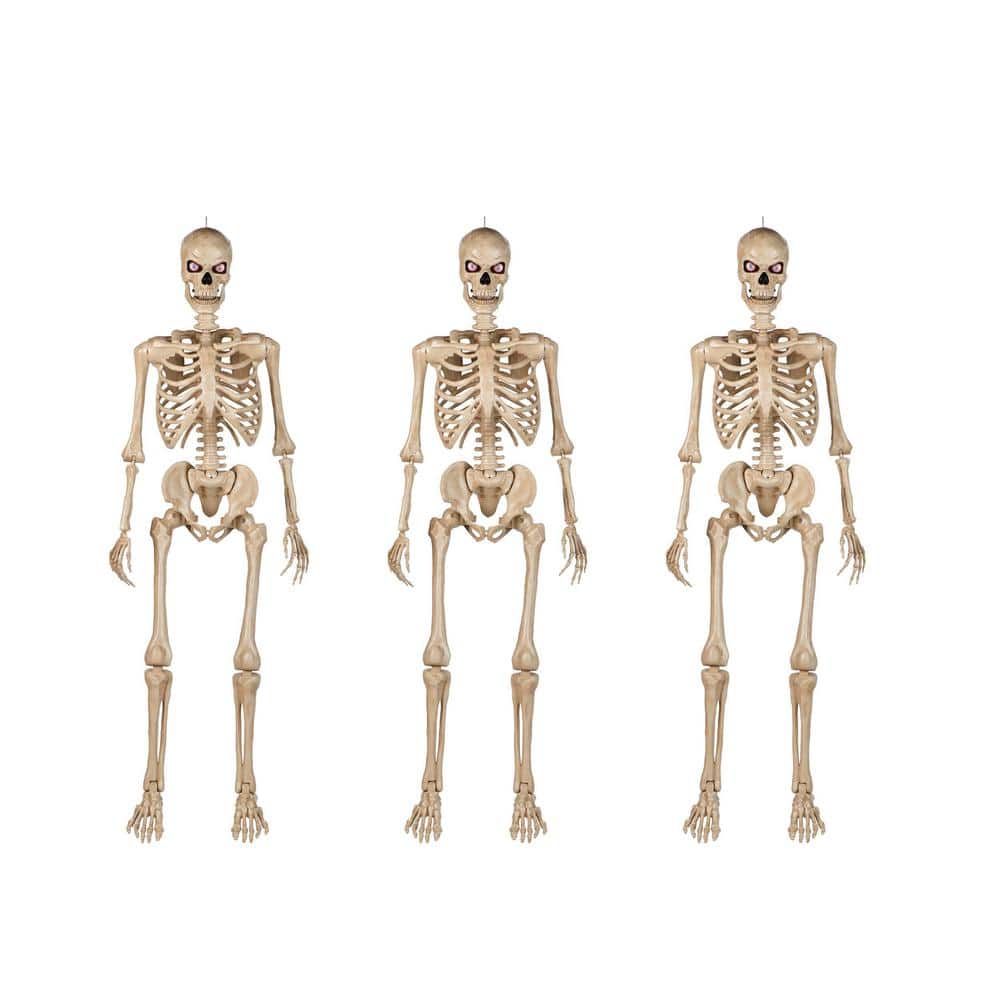 Reviews for Home Accents Holiday 3-Pack 5 ft. Grave & Bones Ultra ...