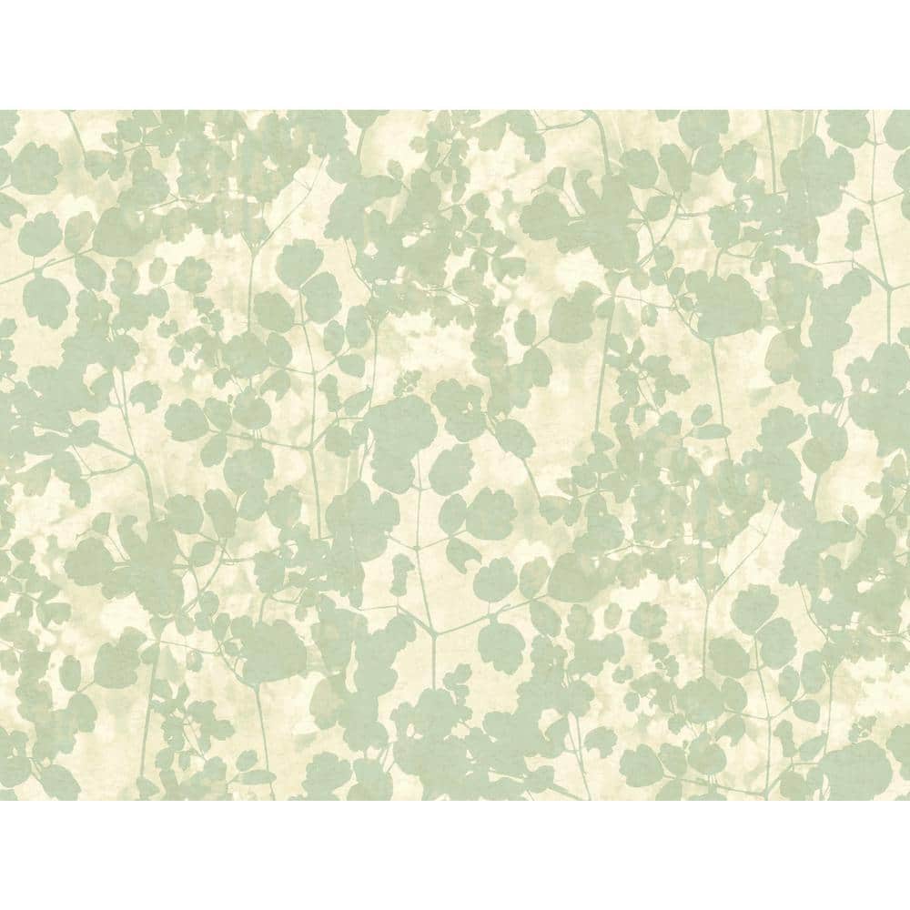 York Wallcoverings Green Pressed Leaves Unpasted Paper Matte Wallpaper ...