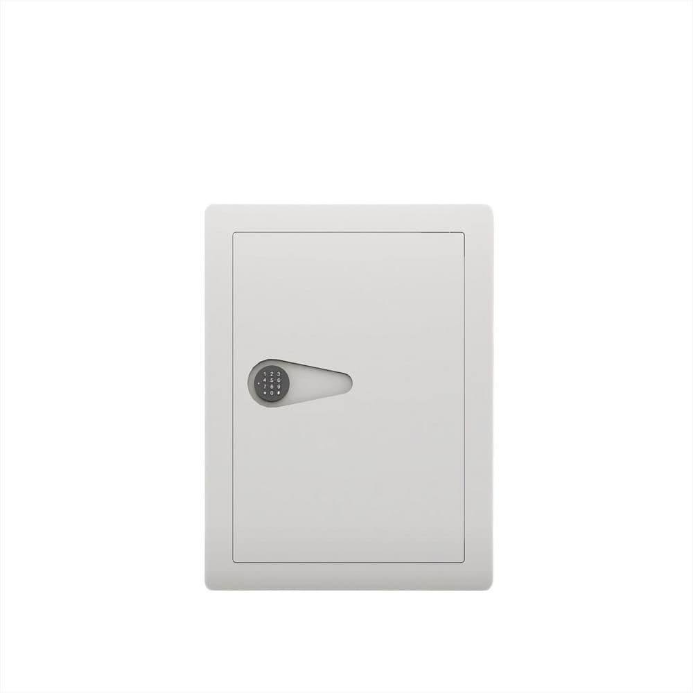 WRIGHTMASTER 0.73 cu. ft. Steel Fire-Resistant Combination Lock Wall ...
