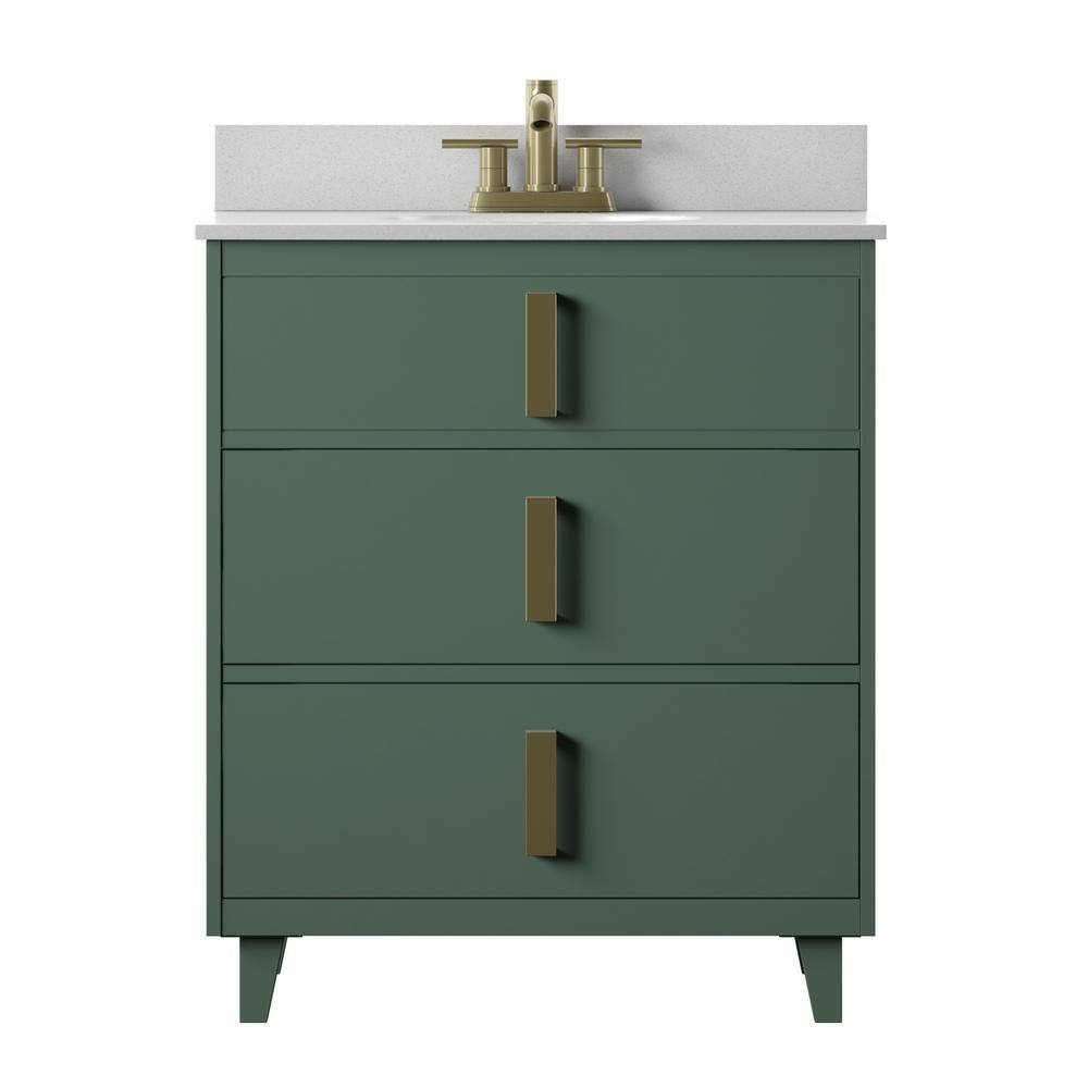 Twin Star Home Transitional 30 in. Bath Vanity with drawers in Kale ...