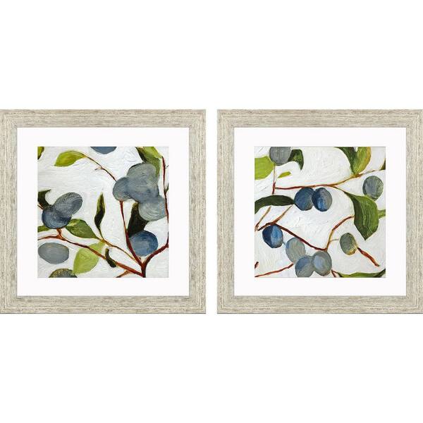 Paragon Olive Branches Olive Branches II by Caroline 2-Piece Framed ...