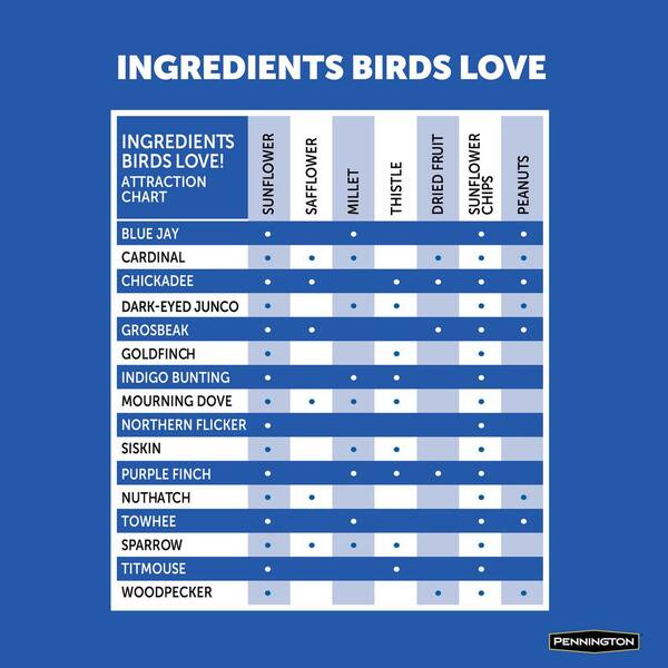 Buy 20 lbs. Wild Bird Seed Food Online at Lowest Price in Ubuy Nepal ...