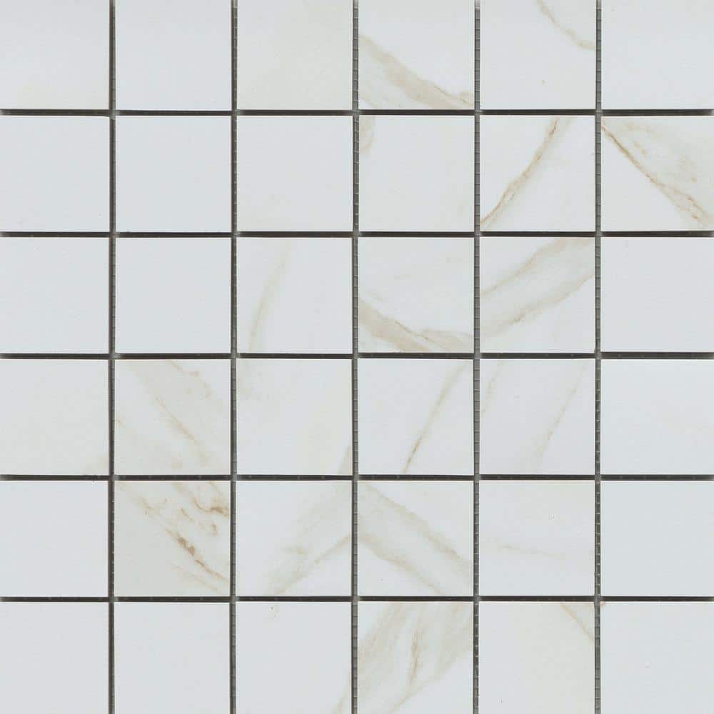 EMSER TILE Nobleza Lugo 12 in. x 12 in. Square Matte Porcelain Mosaic ...