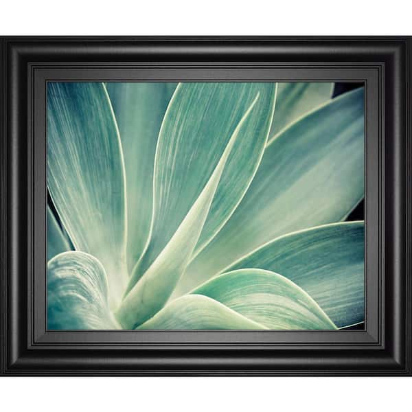 Classy Art 1 Piece Framed Graphic Print Nature Art Print 22 in. x 26 in ...