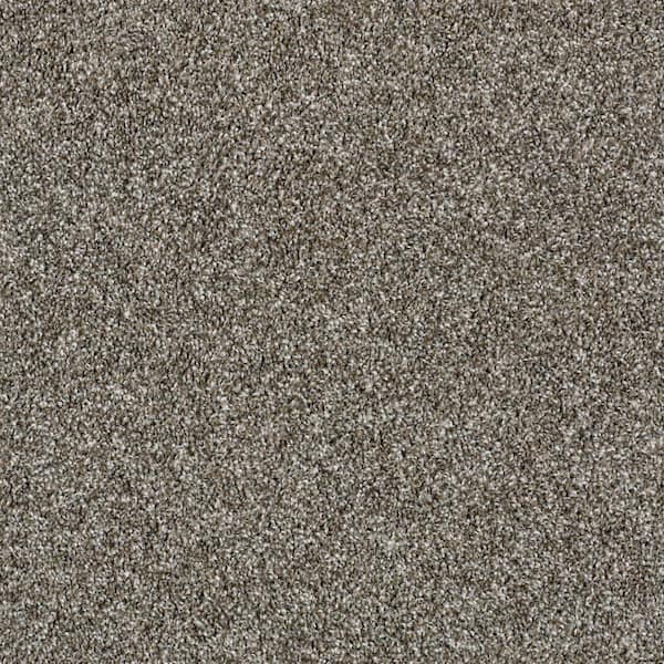 Home Decorators Collection 8 in. x 8 in. Texture Carpet Sample ...