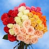 Globalrose 50 Assorted Roses- Fresh Flower Delivery- 2 Colors 50 ...