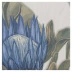 Ivy Hill Tile Angela Harris Native Protea 7.87 in. x 0.33 in. Matte ...