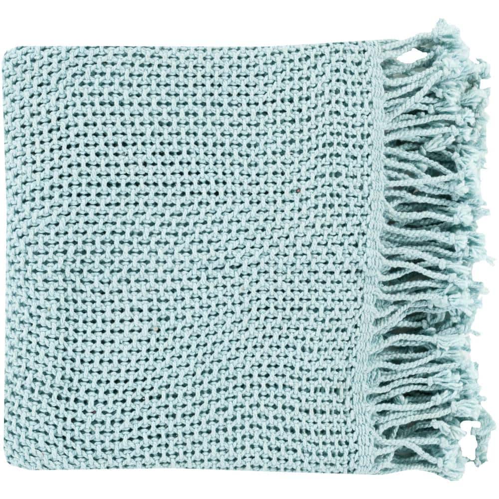 Livabliss Faxan Pale Blue Throw Blanket S00151045318 - The Home Depot