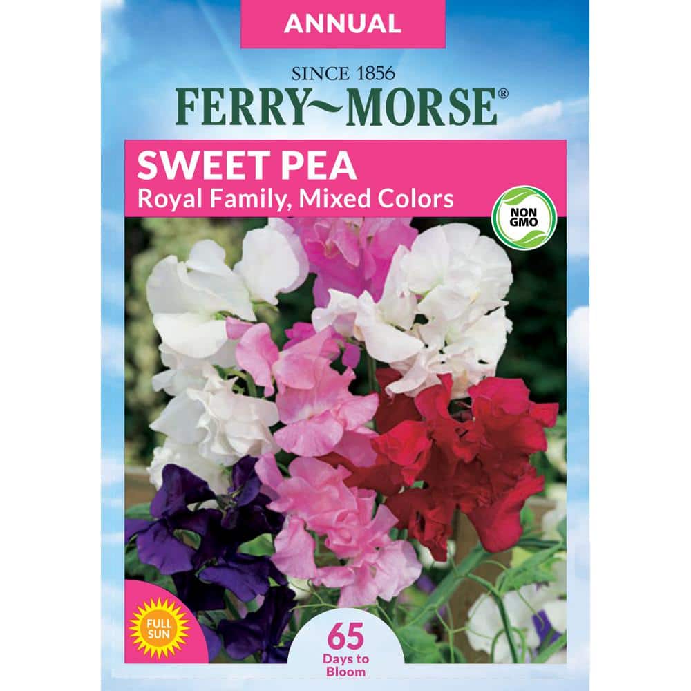 Ferry-Morse Sweet Pea Royal Family Mixed Colors Flower Seeds 1161 - The ...