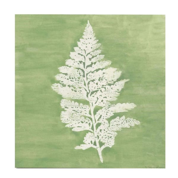 Green Forest Ferns Square Unframed Canvas Art Print 16 in. x 16 in ...