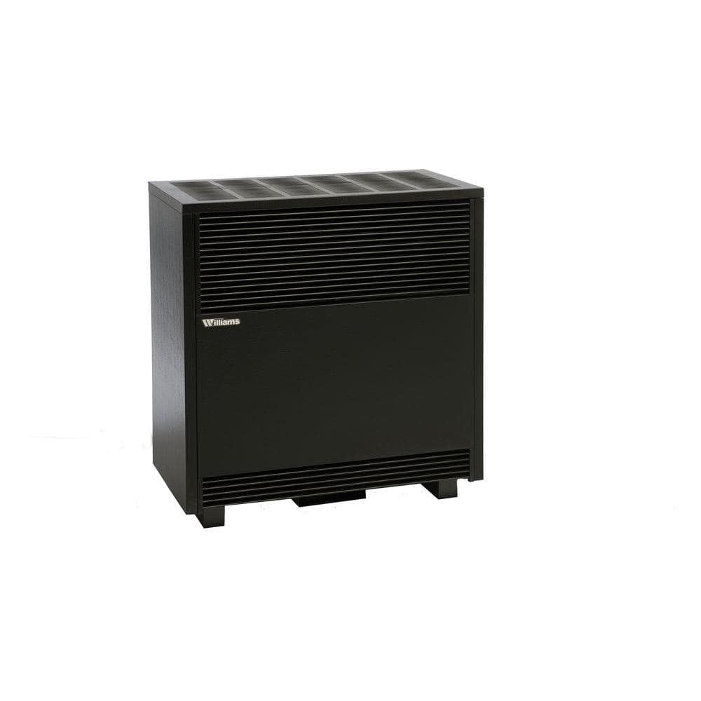 Williams 50,000 BTU Enclosed Front Liquid Propane Gas Room Heater with ...