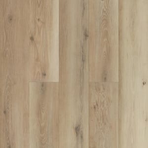 Dekorman Take Home Sample-Wheat Maple EIR 12 mm T AC5 Waterproof ...