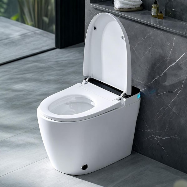 Extra Tall - Bidet Toilets - The Home Depot