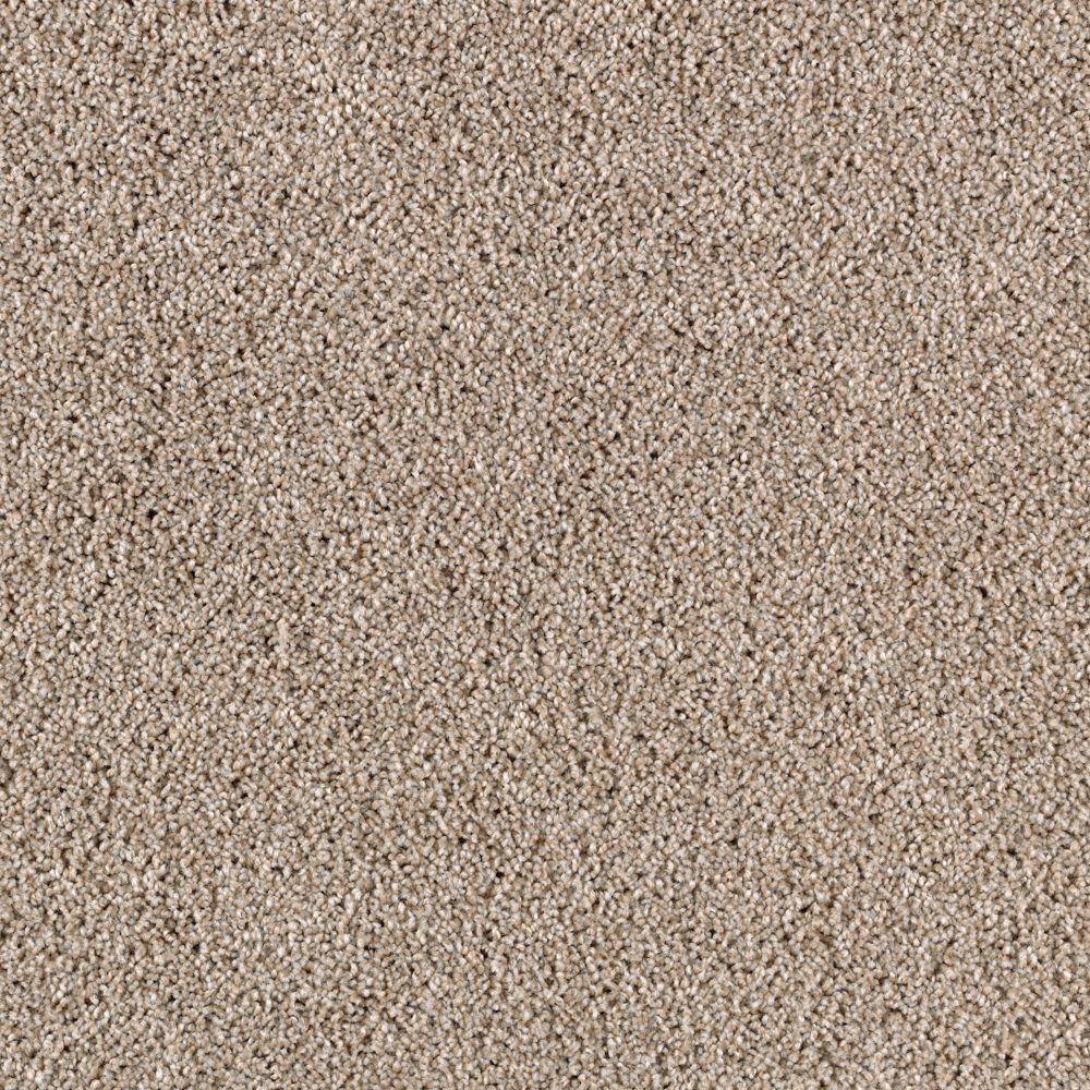 Platinum Plus Immense I - Color Cobblestone 12 ft. Carpet 0502D-22-12 ...