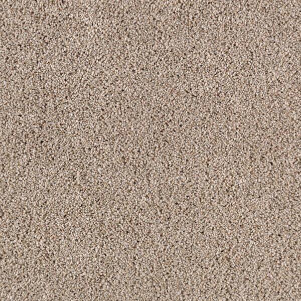 Platinum Plus Immense I - Color Cobblestone 12 ft. Carpet 0502D-22-12 ...