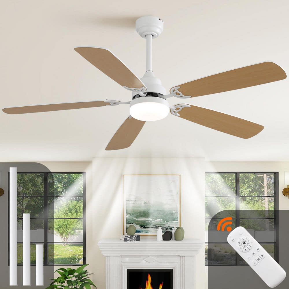 Gloweer 52 in. Standard Ceiling Fan with Dual-Color Blades Adjustable ...