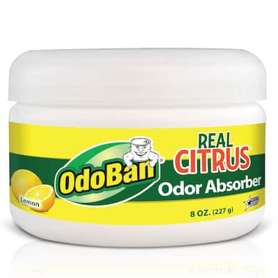 OdoBan Real Citrus 8 oz. Orange Solid Odor Absorber, Odor Eliminator ...