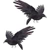 Realistic Crows Lifesize Extra Large Handmade Black Feathered Crow for ...
