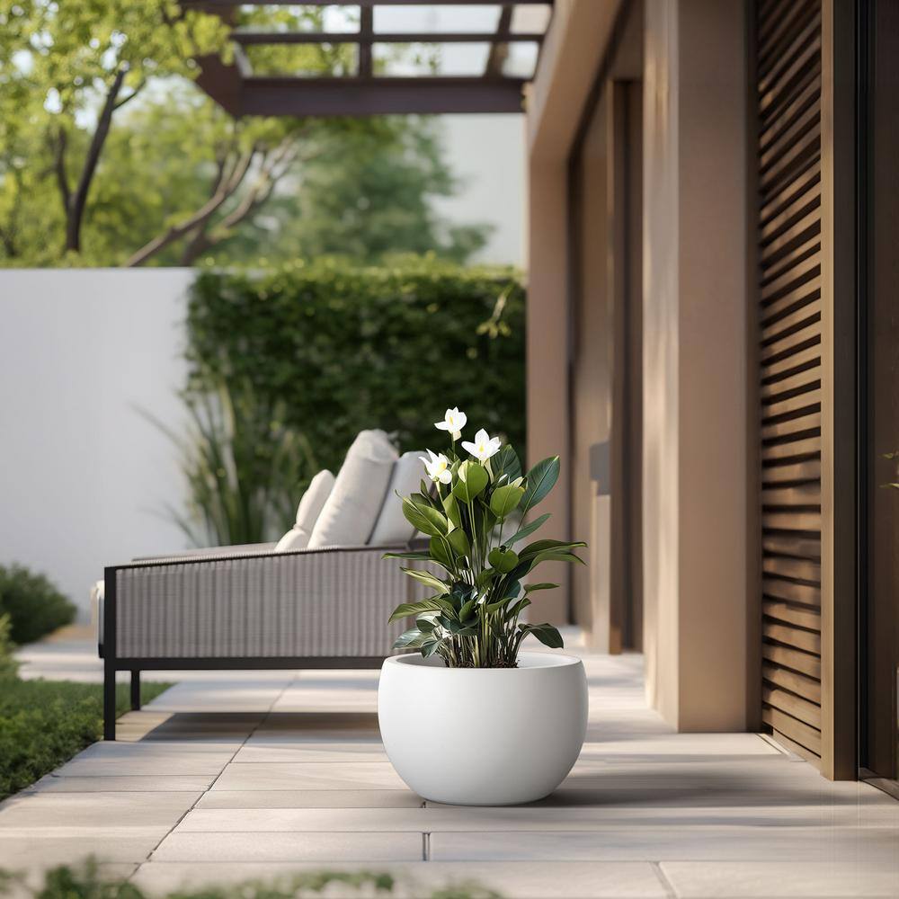 Reviews for Sapcrete 15 in. Large Crisp White Concrete Round planter ...