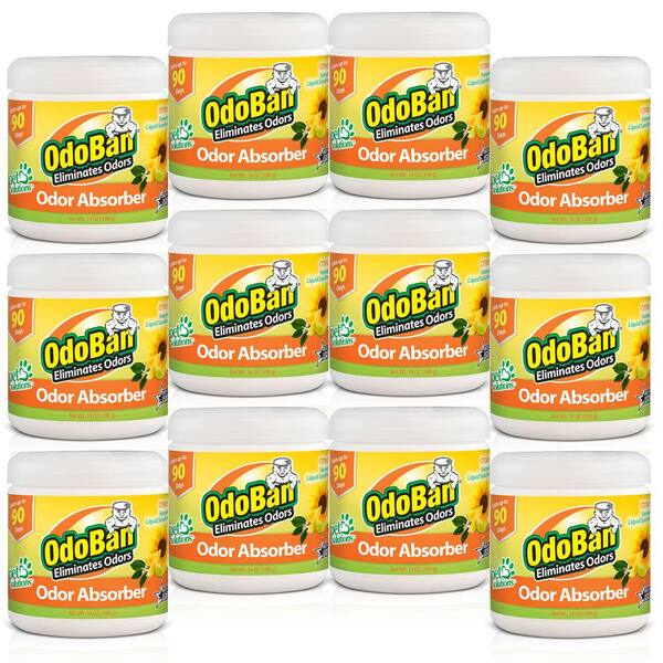 OdoBan 14 oz. Citrus Solid Odor Absorber, Odor Eliminator for Smoke ...