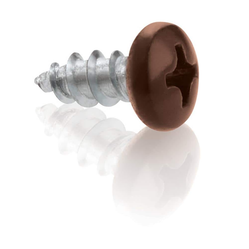 Amerimax Brown Steel Gutter Sheet Metal Screws (20-Pack) 8535401920PK ...