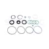 Sunsong Steering Gear Seal Kit 8401429 - The Home Depot