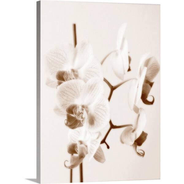 GreatBigCanvas "No Boundaries I" by Ily Szilagyi Canvas Wall Art ...